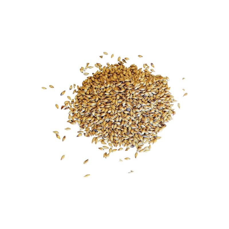 CARABOHEMIAN 2,5 kg – Karamellmalz mit Röstaroma | Weyermann®